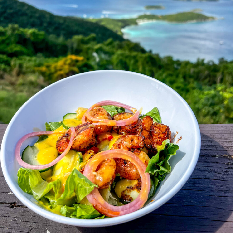 The Windmill Bar | St. John US Virgin Islands | Best View in USVI